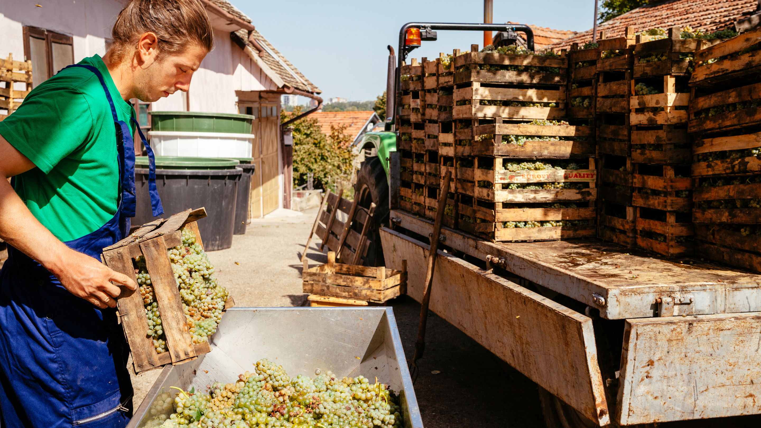 Organic and Biodynamic Wines: What are they and are they worth the hype ...