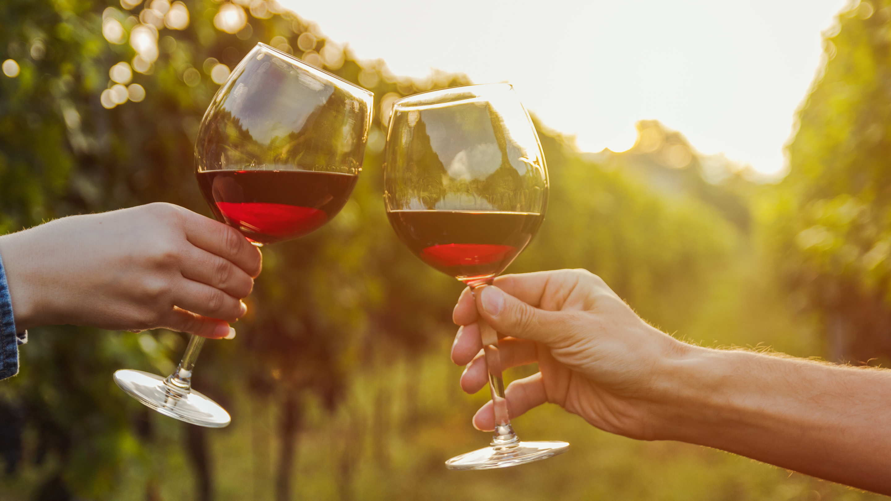 Organic and Biodynamic Wines: What are they and are they worth the hype ...