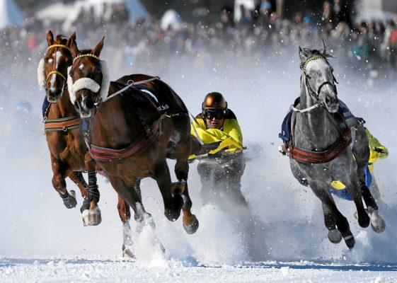 White Turf St. Moritz 2020 – A Century old horse racing on Snow – Vivamost!
